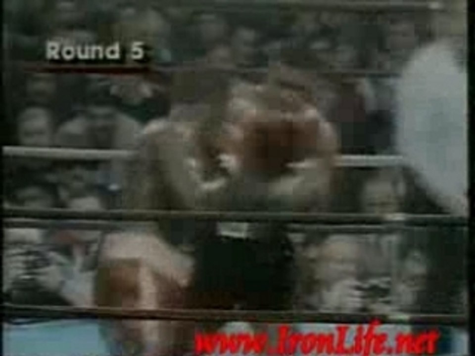 Mike tyson knockout highlights 3 - Vidéo Dailymotion
