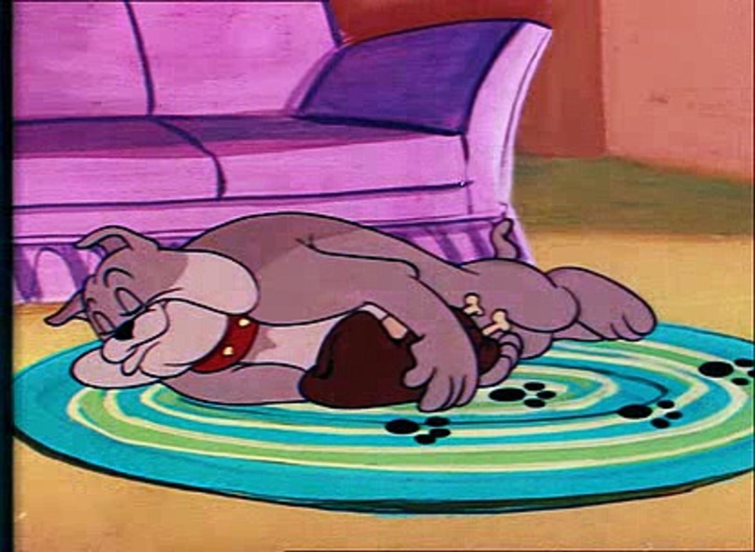 Tom And Jerry Spike Sleeping