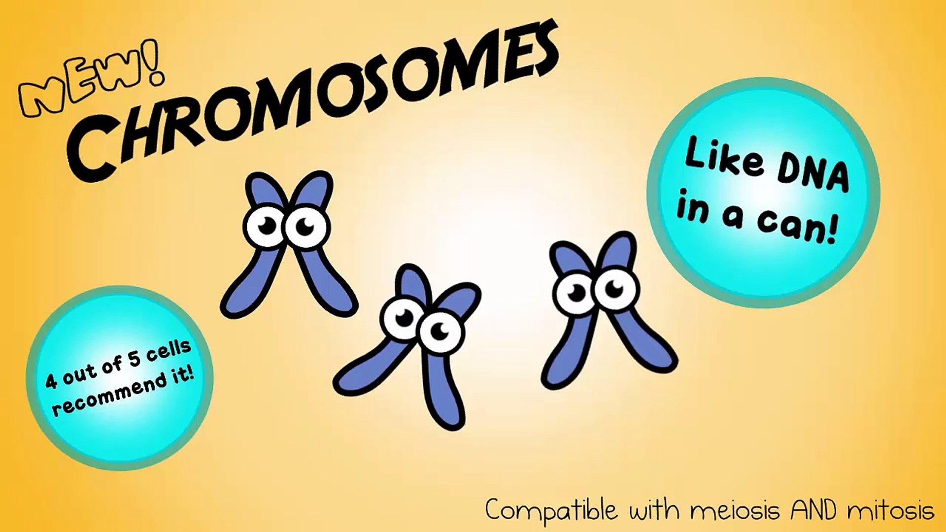 Mitosis Meiosis GIF By Amoeba Sisters Mitosis A GIF! See, 51% OFF