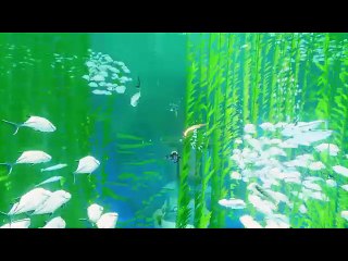 FFG Rocks videos - Dailymotion