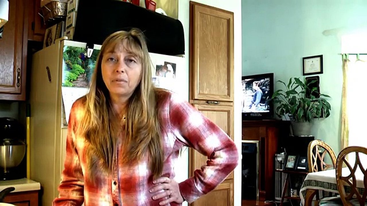 Pork Chops Southern Fried - The Hillbilly Kitchen - video Dailymotion