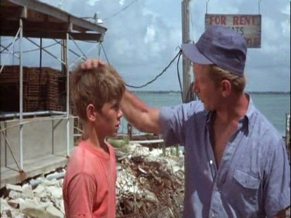 Flipper 1964 S03e05 The Warning - video Dailymotion