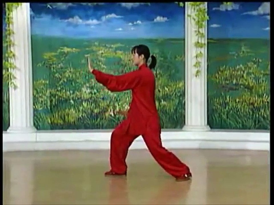 Tai ji chuan - 16 form - Yang style - Back view - video Dailymotion