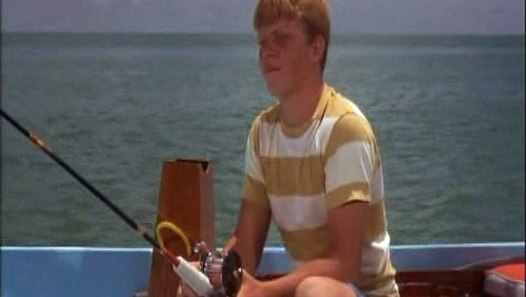 Flipper 1964 S03e14 Flipper And The Fugitive Part 1 - video dailymotion