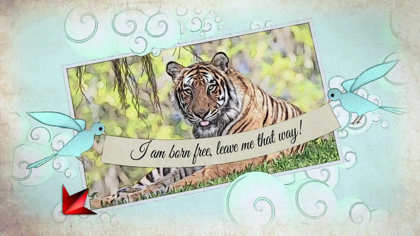 Animal Diaries Season 6 by Animal Diaries - Dailymotion