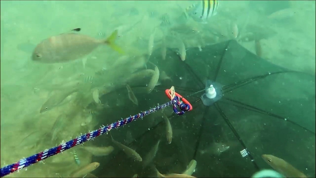 Amazing Sea fish Trap - Lots of Fish Under Water-ubGwQxOWalw - video ...
