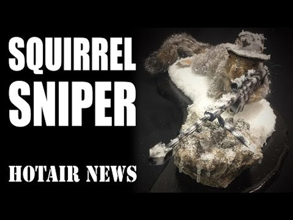Squirrel Sniper - HotAir Airgun News - video Dailymotion