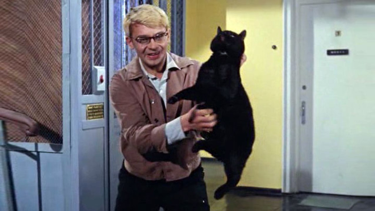 Operațiunea ”Y” și celelalte aventuri ale lui Șurik / Operatsiya Y i ...