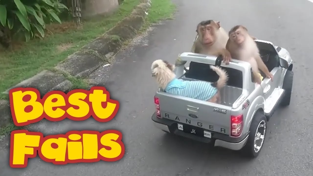 Best epic fails compilation #009 - video Dailymotion