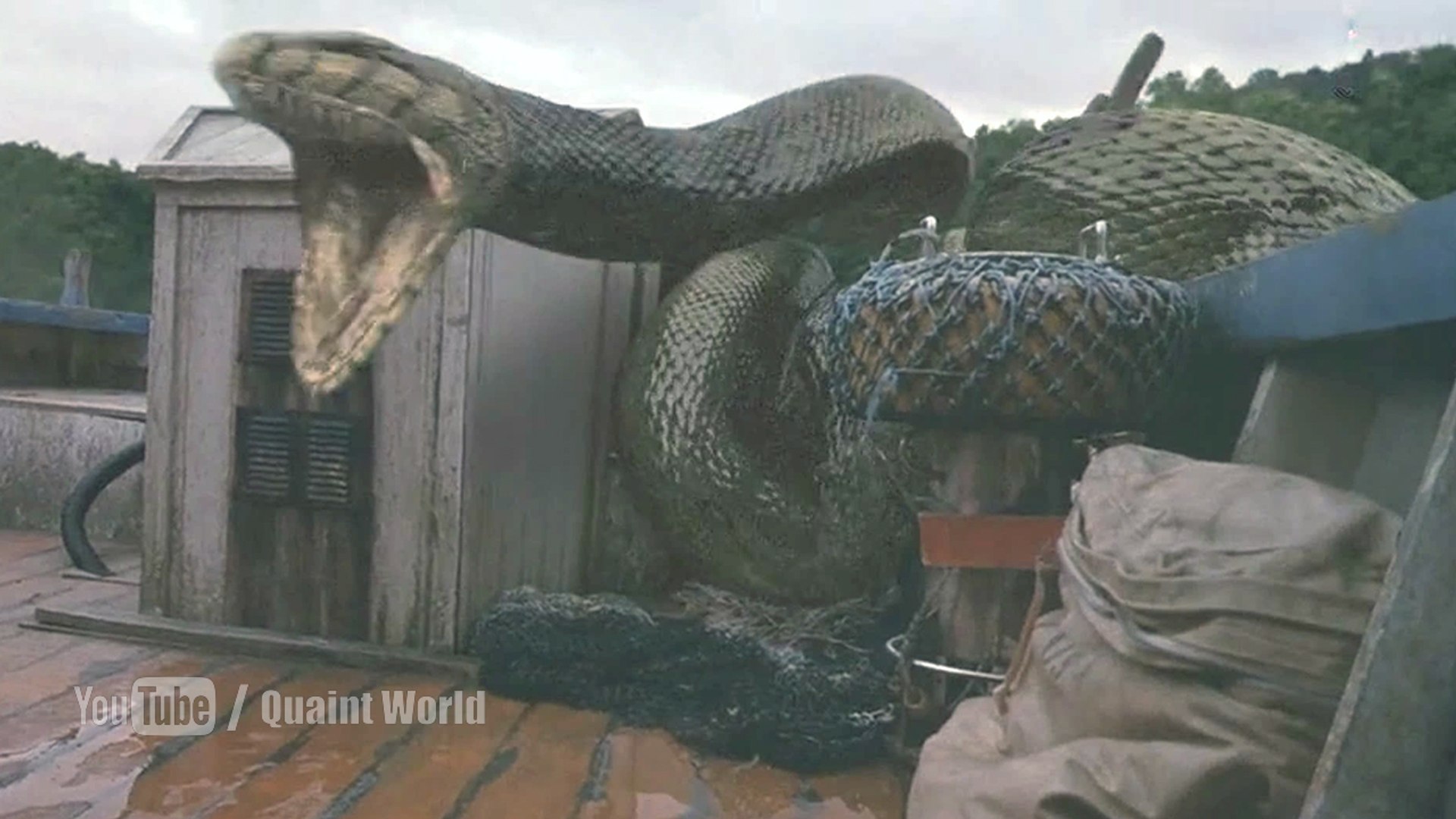 Anacondas 2 Anacondas: The Hunt For The Blood Orchid | Rotten Tomatoes