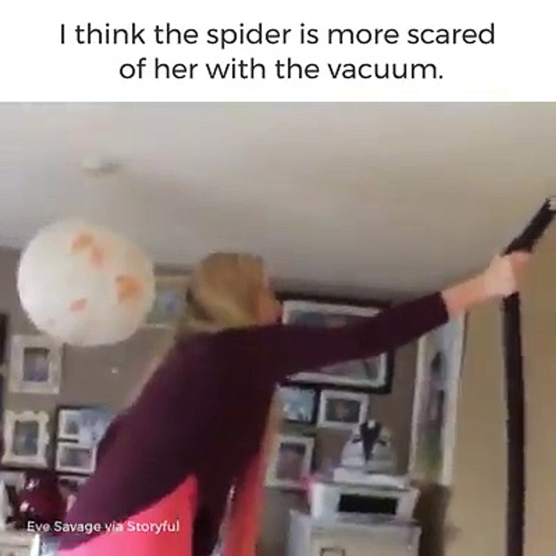More Spider Scared Meme Image Tagged In Spooder,jumping
