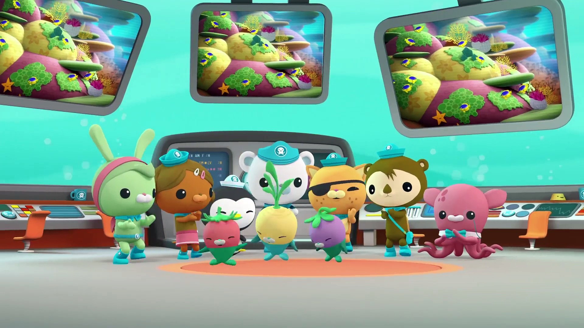 Octonauts Creature Report Compilation Series 1 Youtube
