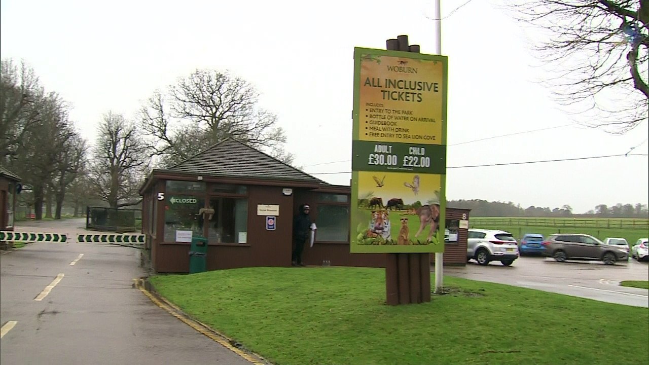 Fire kills 13 Patas Monkeys at Woburn Safari Park - video Dailymotion