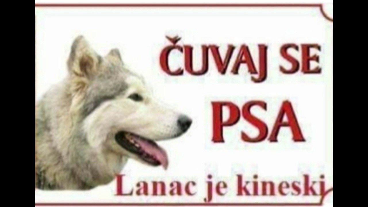 Top vicevi, Mujo i Haso, Perica i ostala kompanija - video Dailymotion