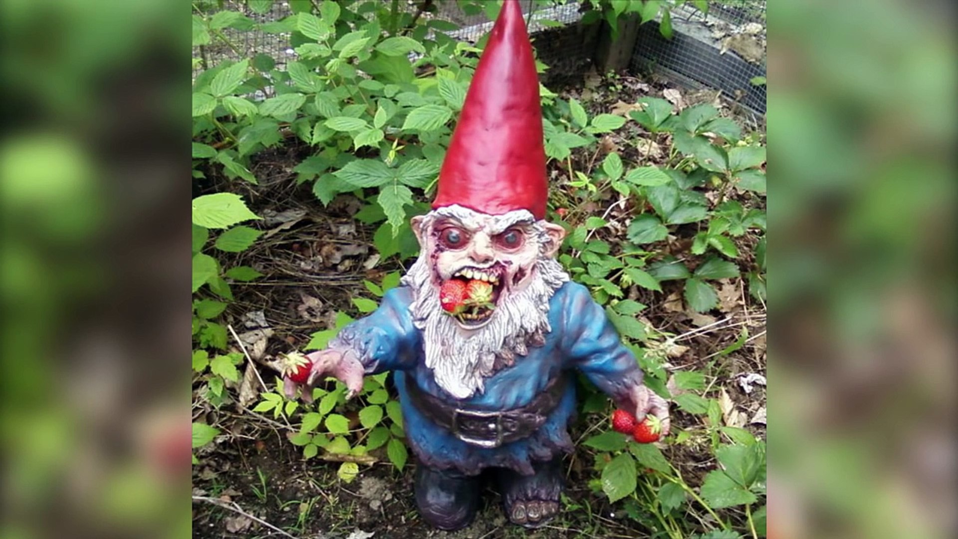 Real Gnome Sightings