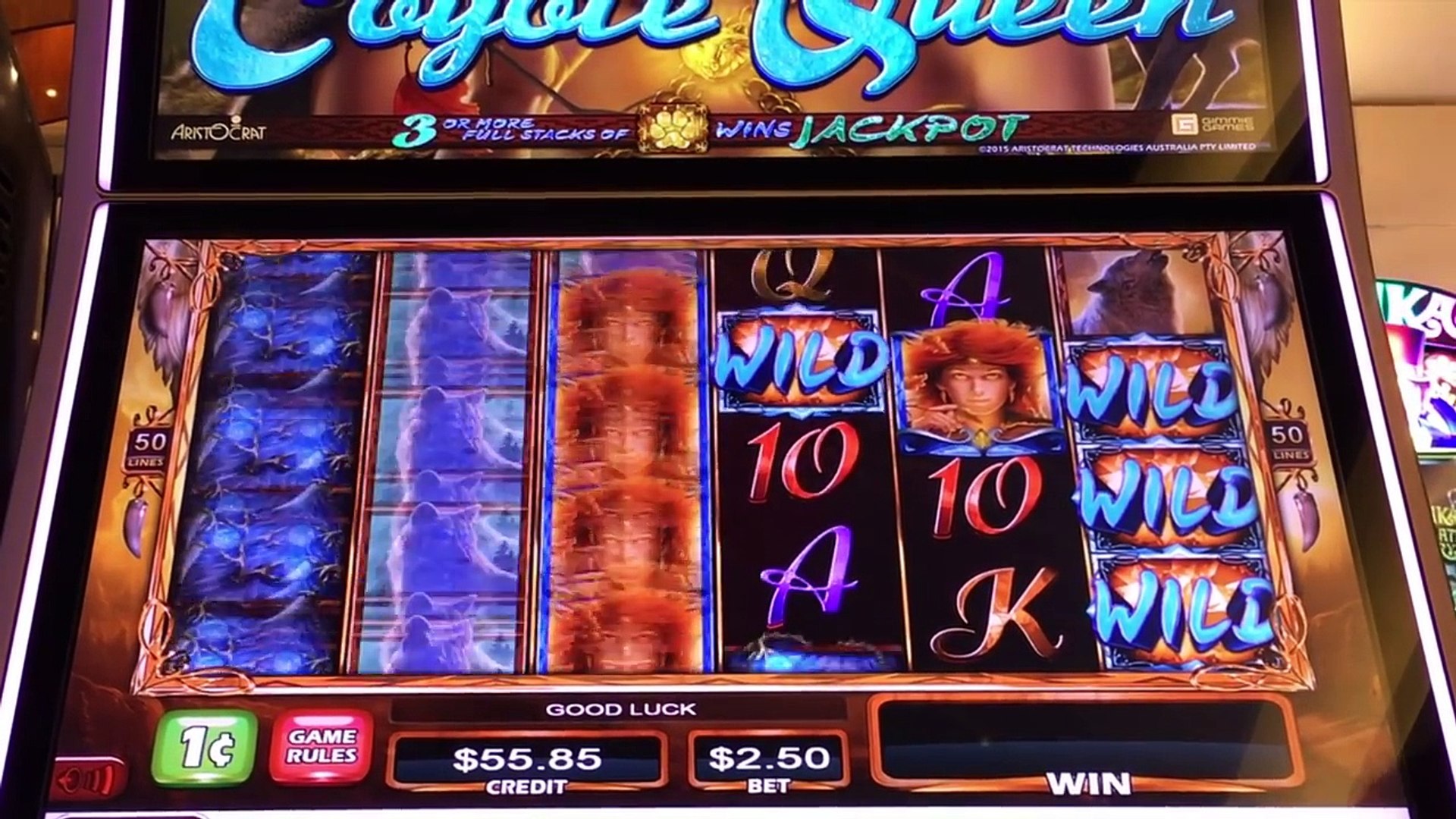 Coyote Slot Machine