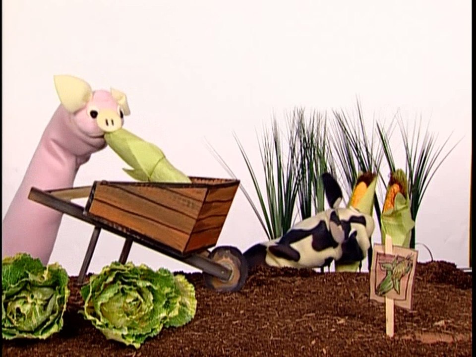 Baby Einstein Baby MacDonald A Day on the Farm 2 Part 1 - Video Dailymotion