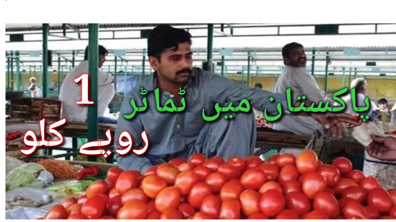 Pakistani Tomatoes rates || ٹماٹر ایک روپے کلو || پاکستانی اوام خوشی سے ...