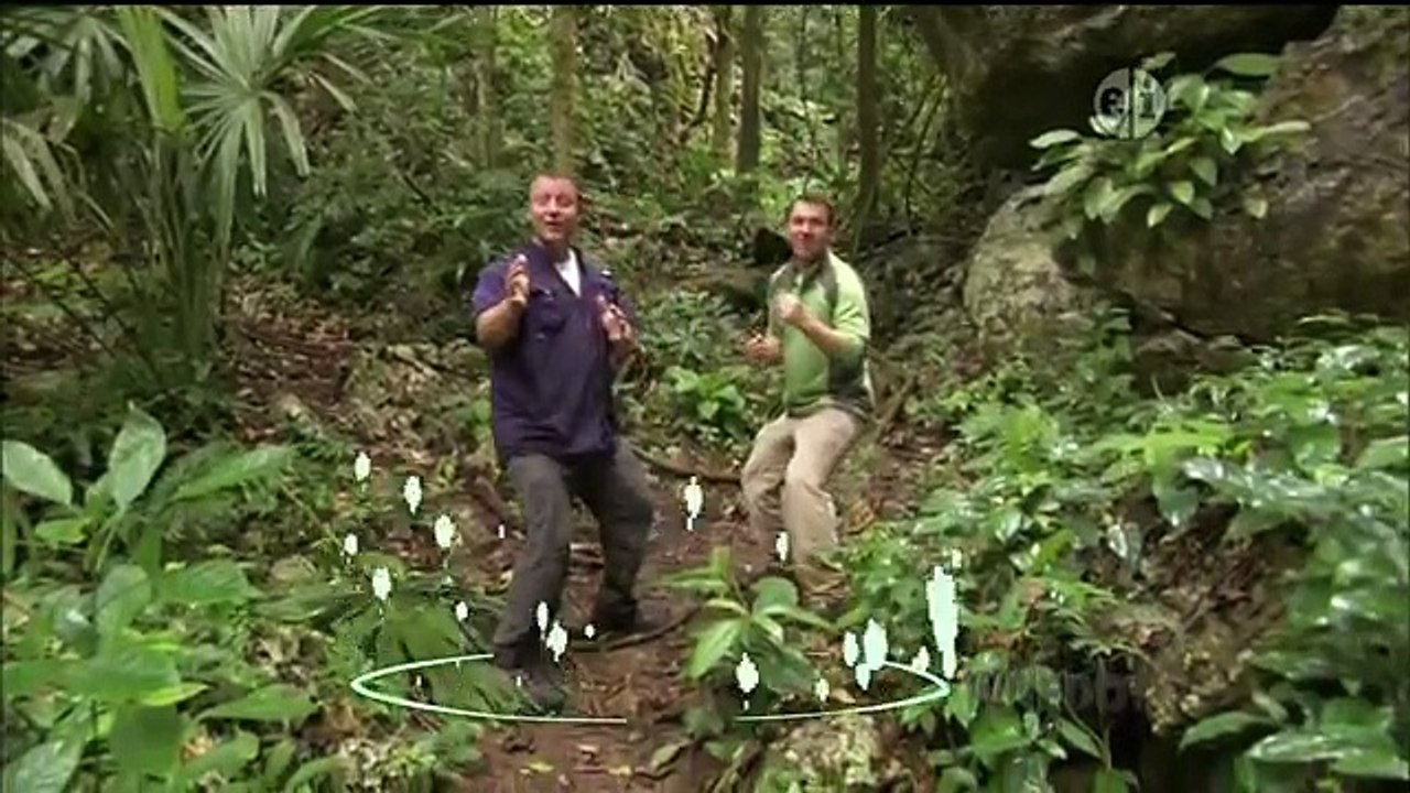 Wild Kratts 36 Secrets of the Spiders Web - video Dailymotion