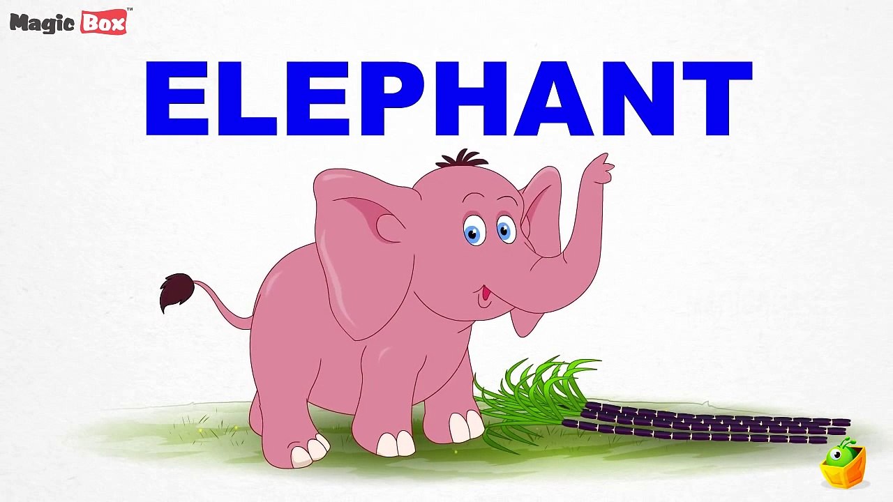 Elephant - Animal Alphabet - Pre School - Learn Spelling Videos For ...