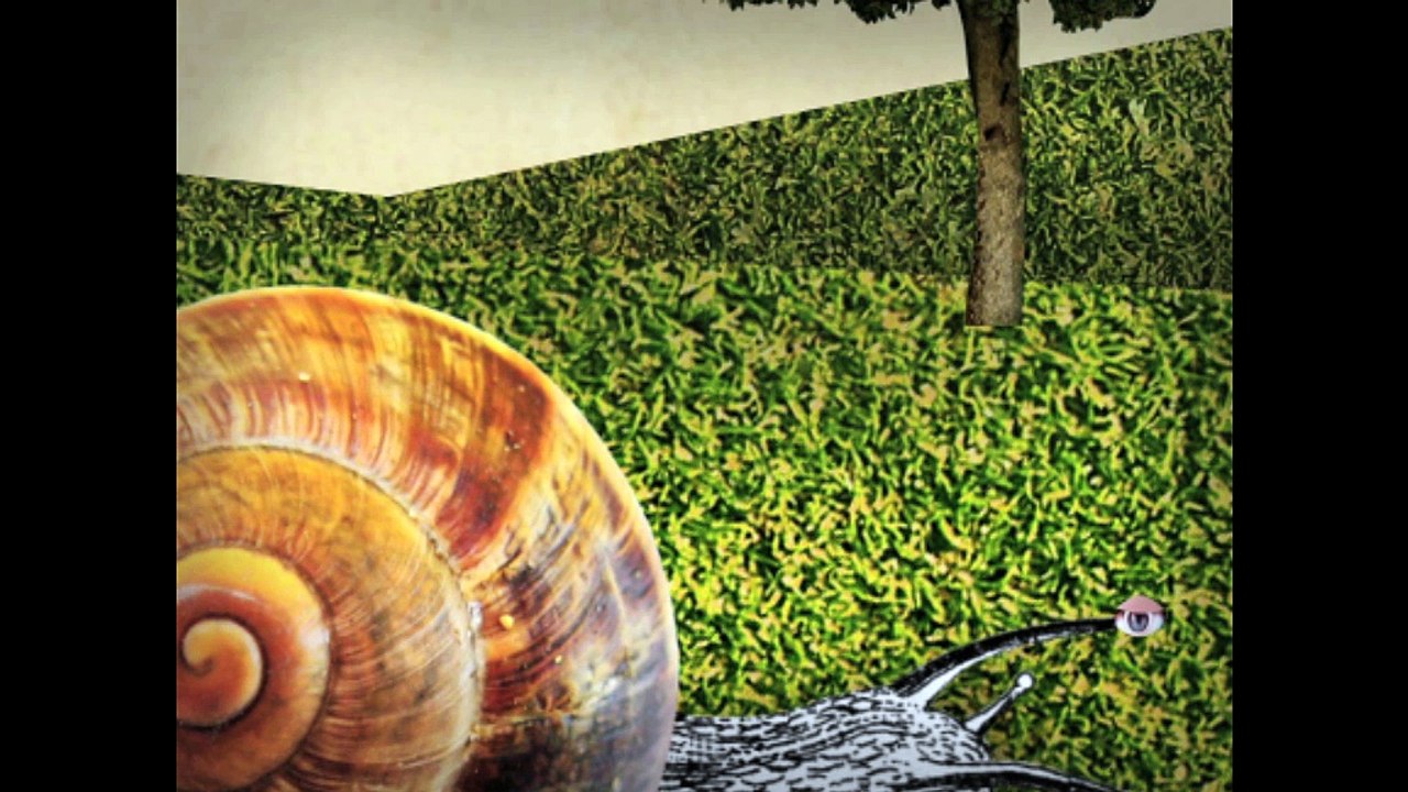 Les escargots font-ils des maths ? - Vidéo Dailymotion