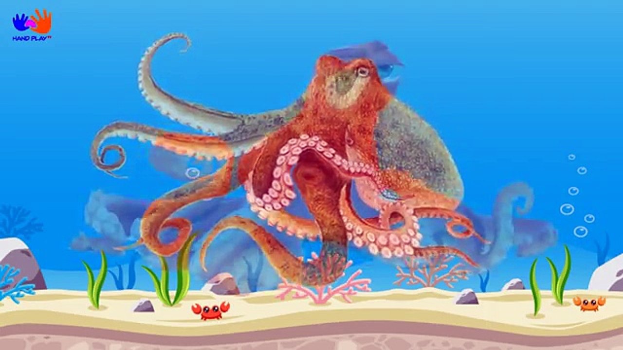 Sea Animals For Kids, Animals Sea Names and Learn Number AMAZING ...