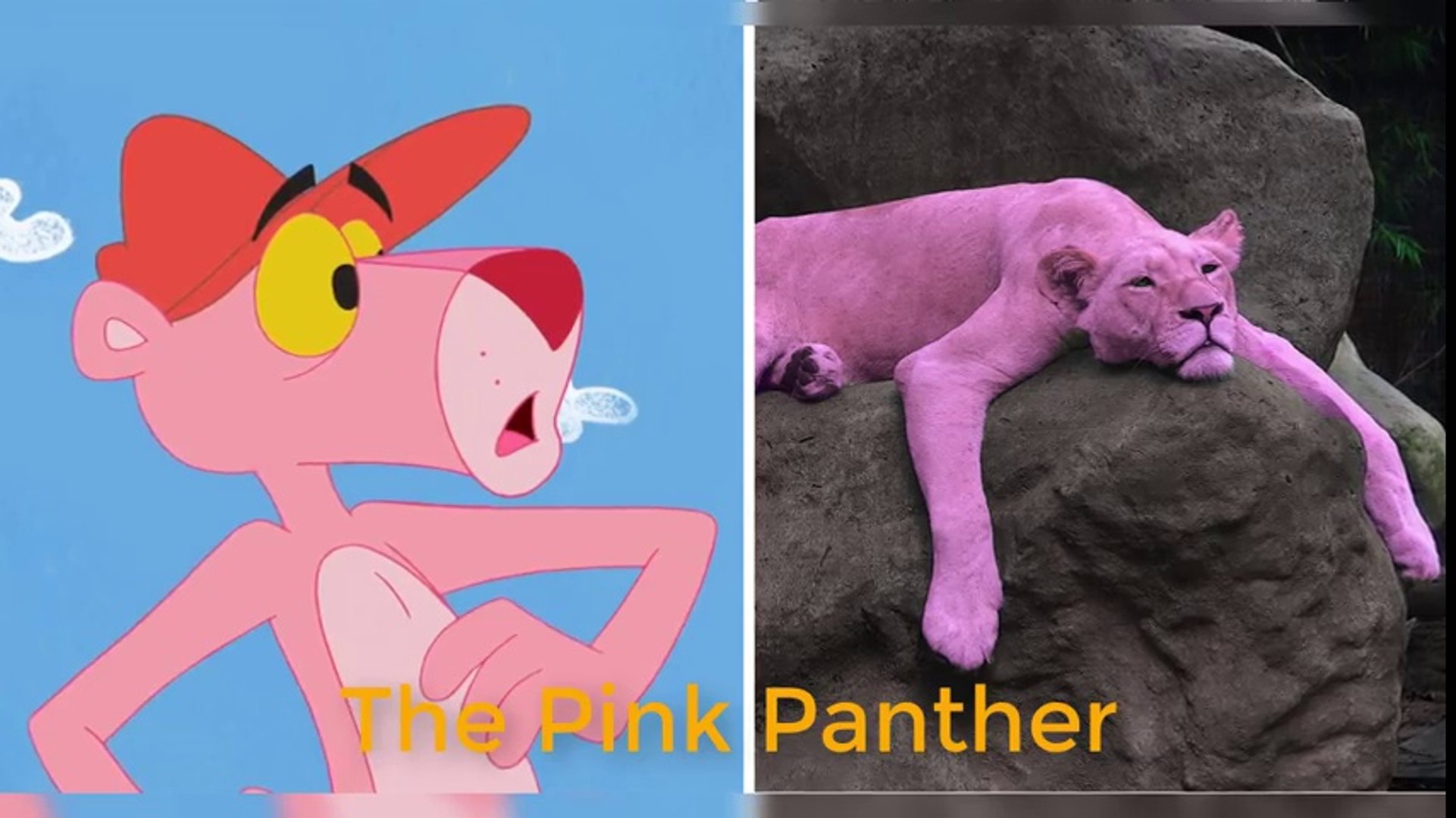 Real Pink Panther