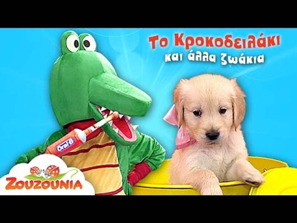 To Κροκοδειλάκι και άλλα ζωάκια | Παιδικά Τραγούδια με τα Ζουζούνια ...