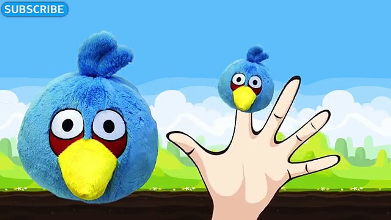 Finger Family ANGRY BIRDS Finger Family NURSURY RHYMES song - video ...