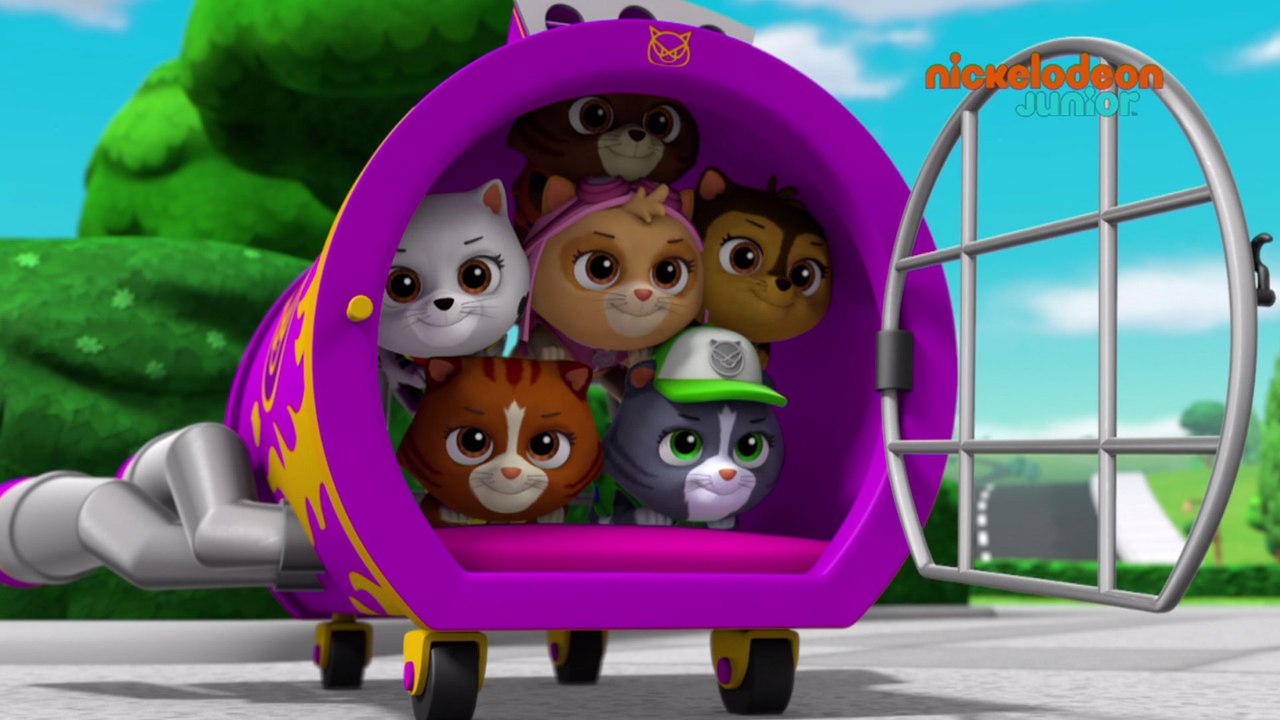 Paw Patrol : la Pat'Patrouille | Les chatons | NICKELODEON JUNIOR ...