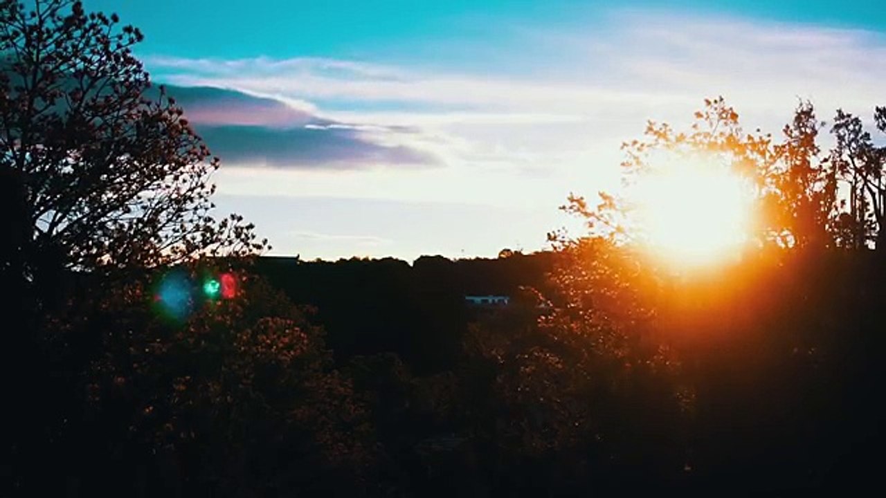 Auto-Resizing Table View Cells! (Swift 3 in Xcode) - Vidéo Dailymotion