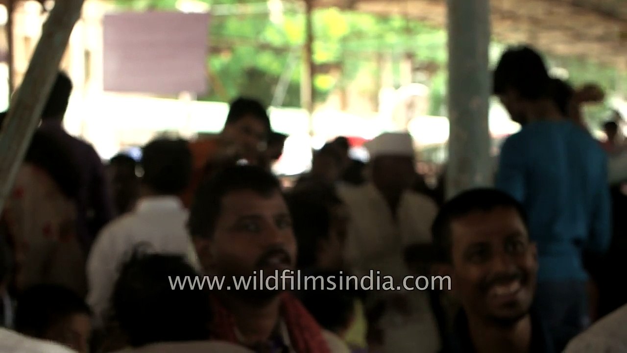 Bathini Brothers Fish medicine for asthma patients at Nampally ...