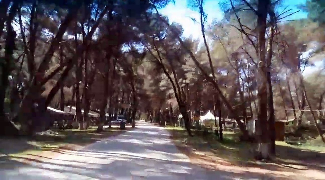 Parku i Divjakës - video Dailymotion