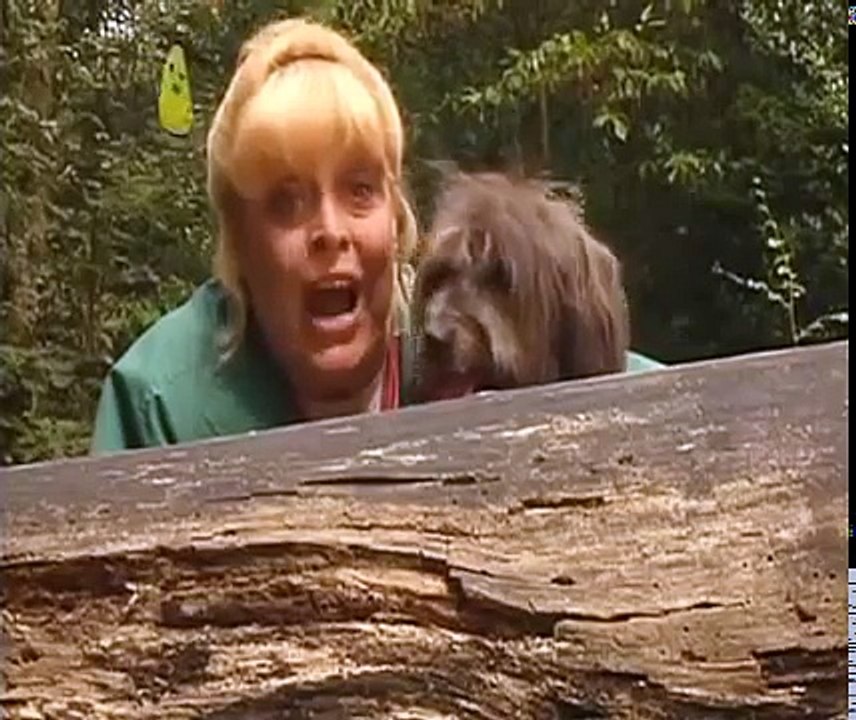 Come Outside: Series 2: Useful Holes - video Dailymotion