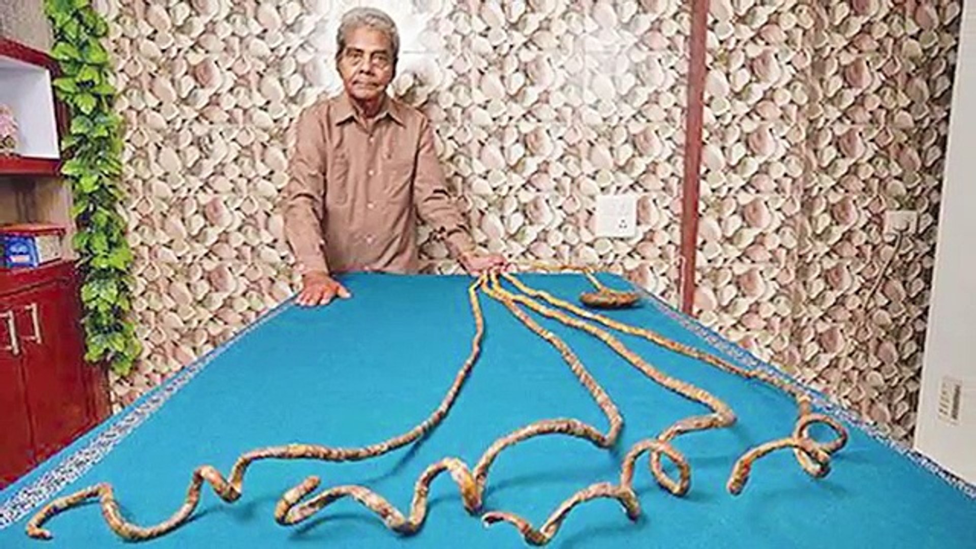 Grossest Picture In The World