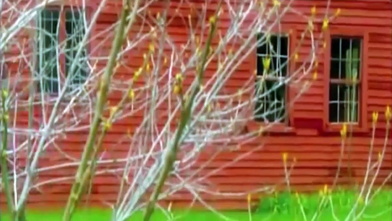 Secrets of the Dead - Witches Curse - video Dailymotion