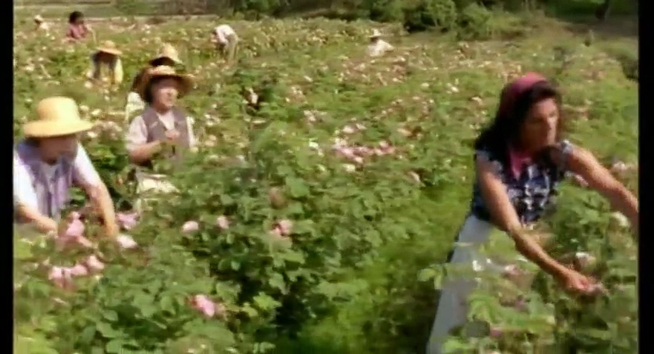 Dans un grand vent de fleurs S1E5 FRENCH Part 02 - Dailymotion Video