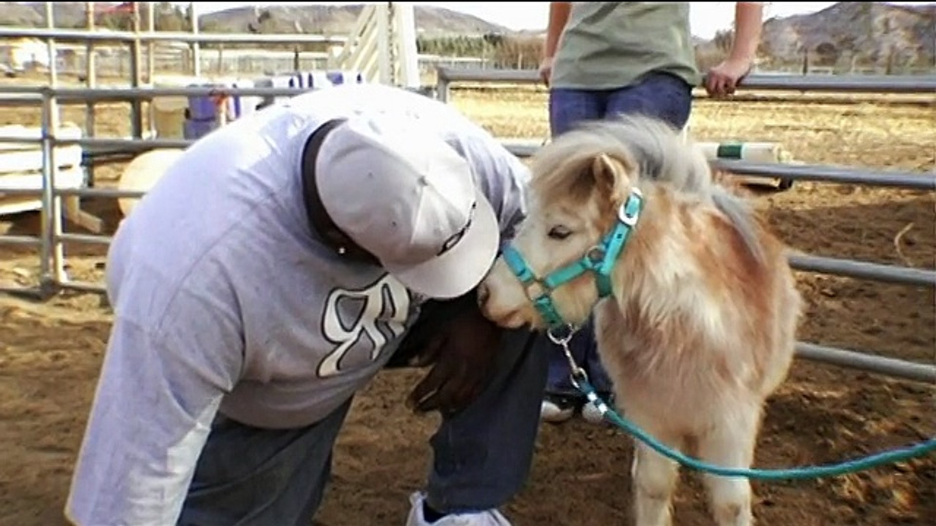 Rob And Big Mini Horse
