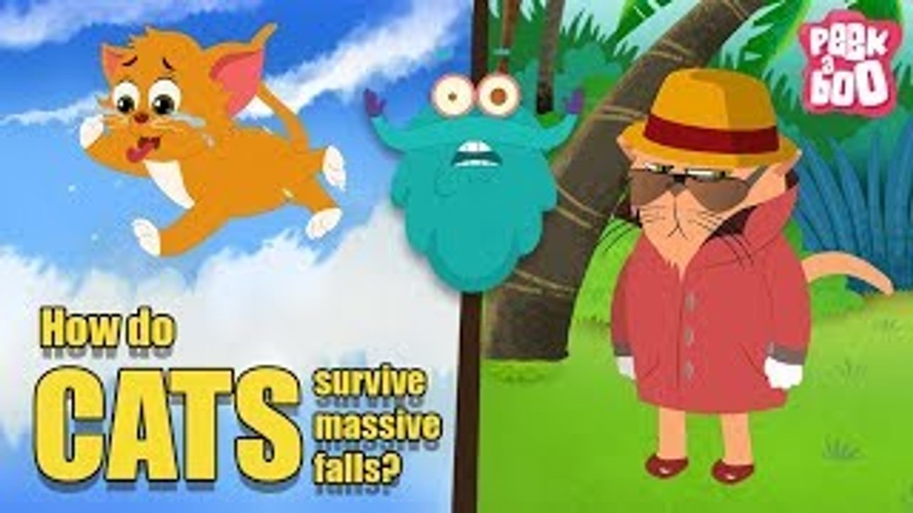 How Do Cats Survive Massive Falls? - The Dr. Binocs Show | Learning ...
