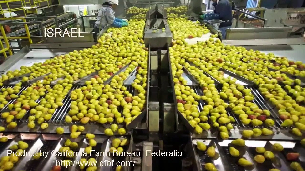 Agriculture Techonology Intelligent Equipment Factory Processing - The ...