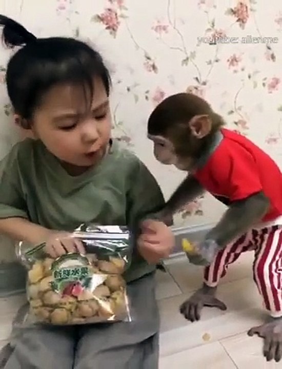 Kid Play with Cute monkey - video Dailymotion