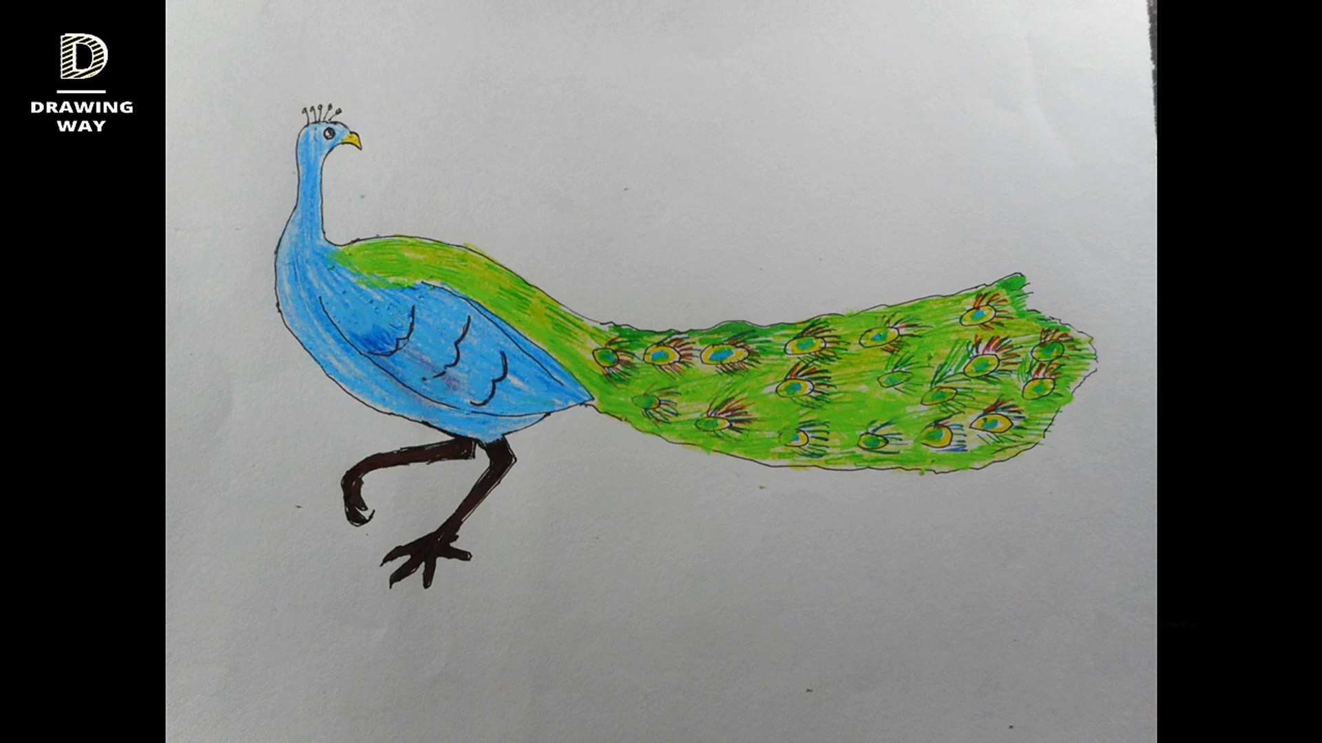 How Do You Draw A Peacock