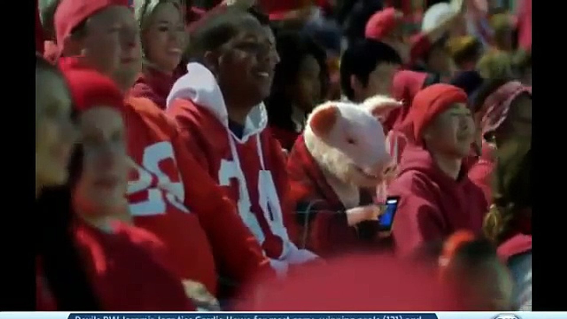 Geico Pig In A Blanket