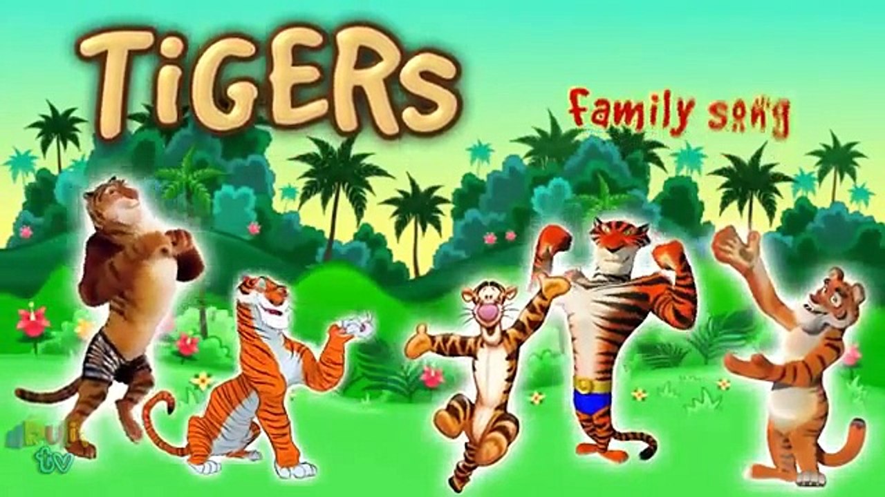 Cartoon Tigers transform into Real Tigers | Finger Family Song ...