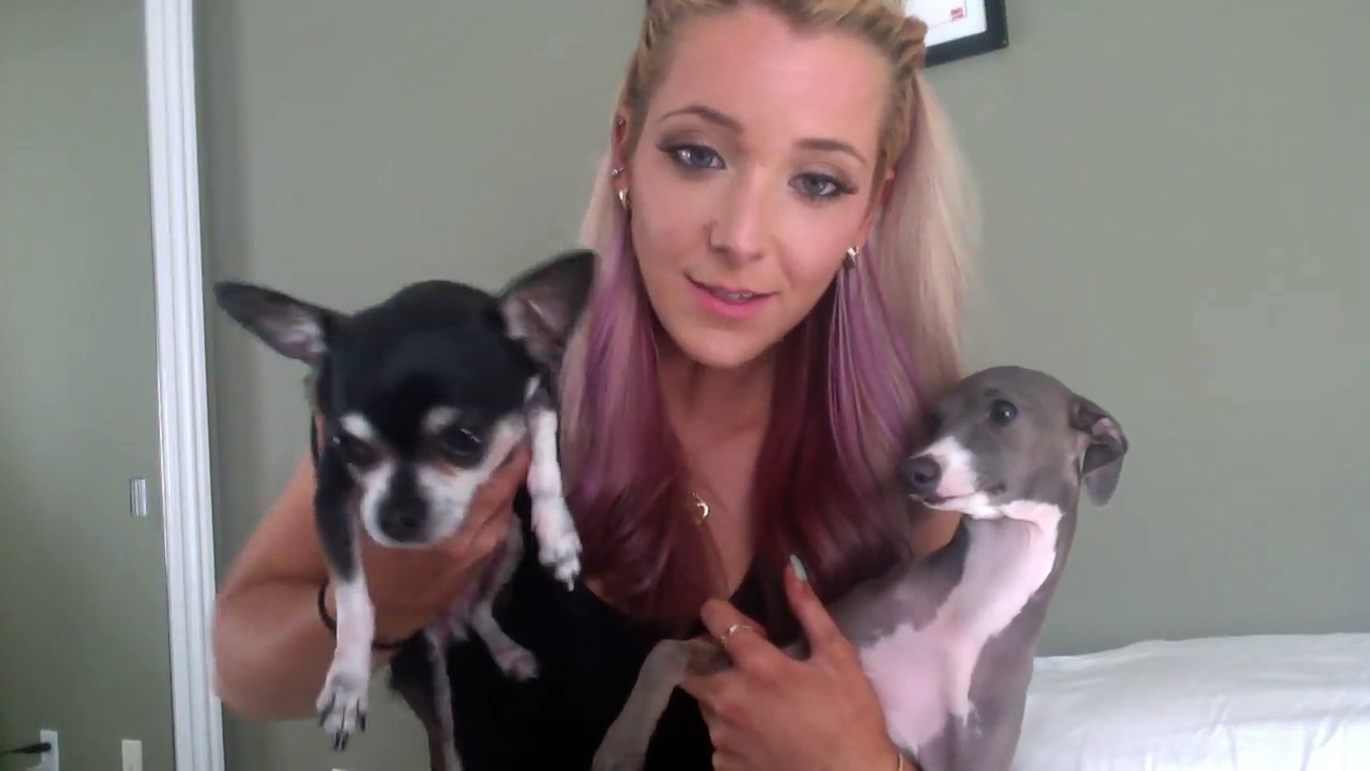 Kermit The Dog Smiling Jenna Marbles