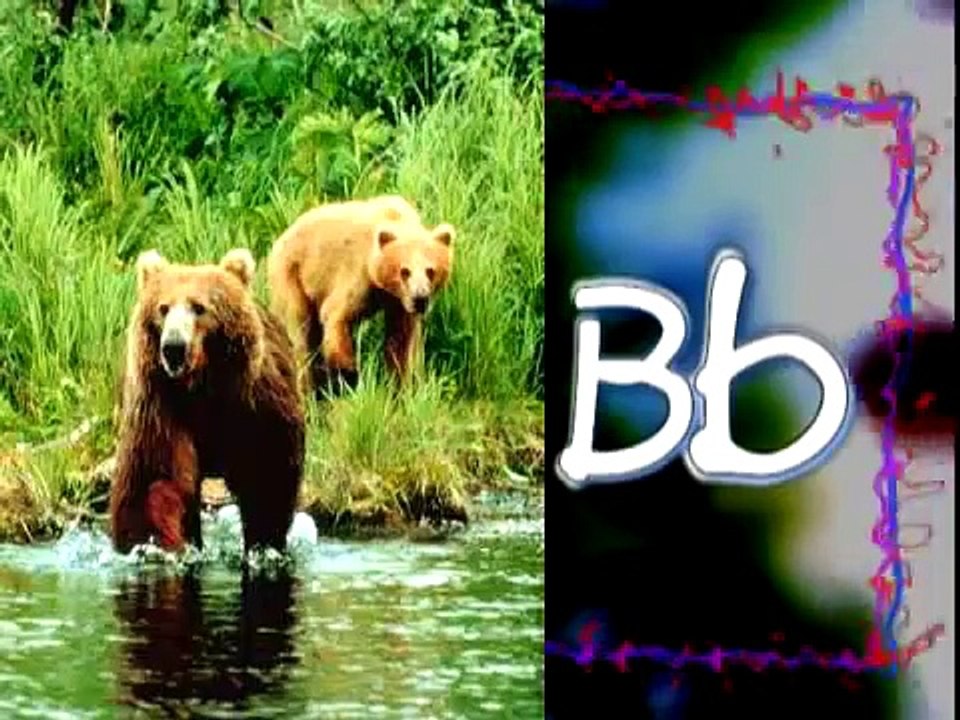 ABC SONG for Children | Animal Alphabet - video Dailymotion