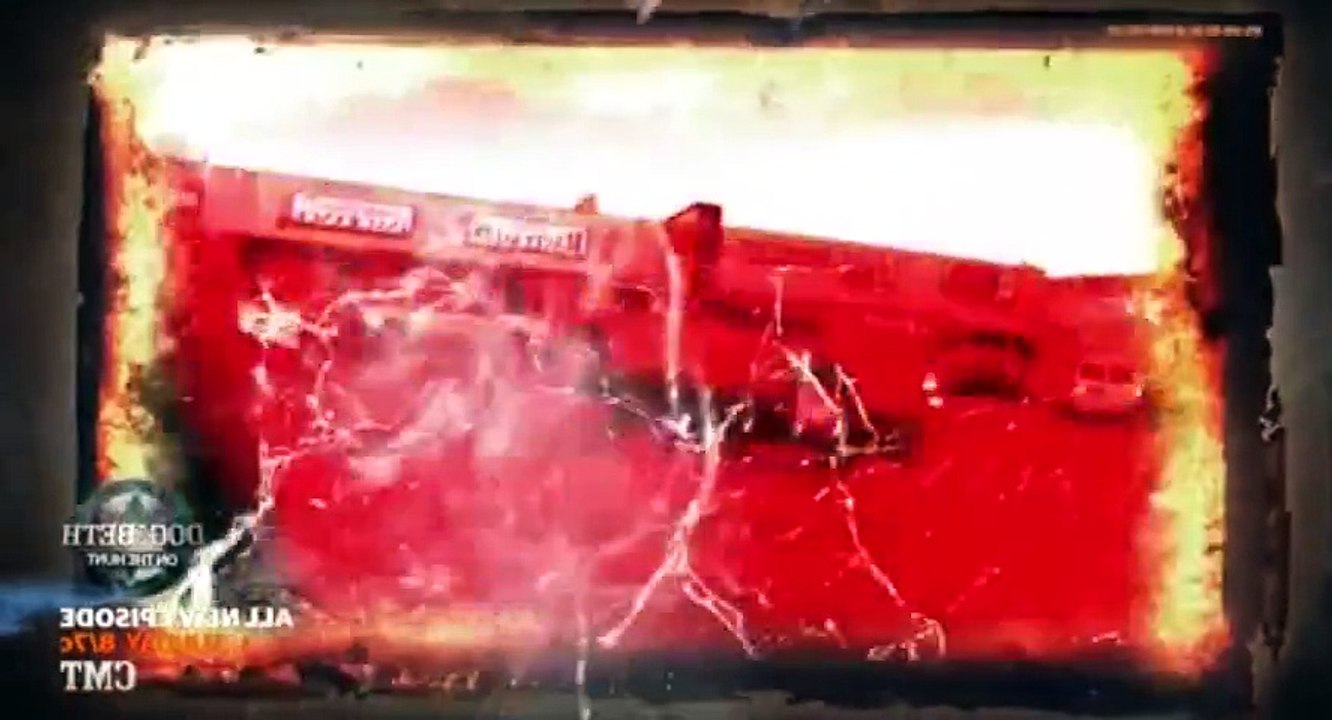 Cops Reloaded S01 - Ep30 30 HD Watch - Dailymotion Video