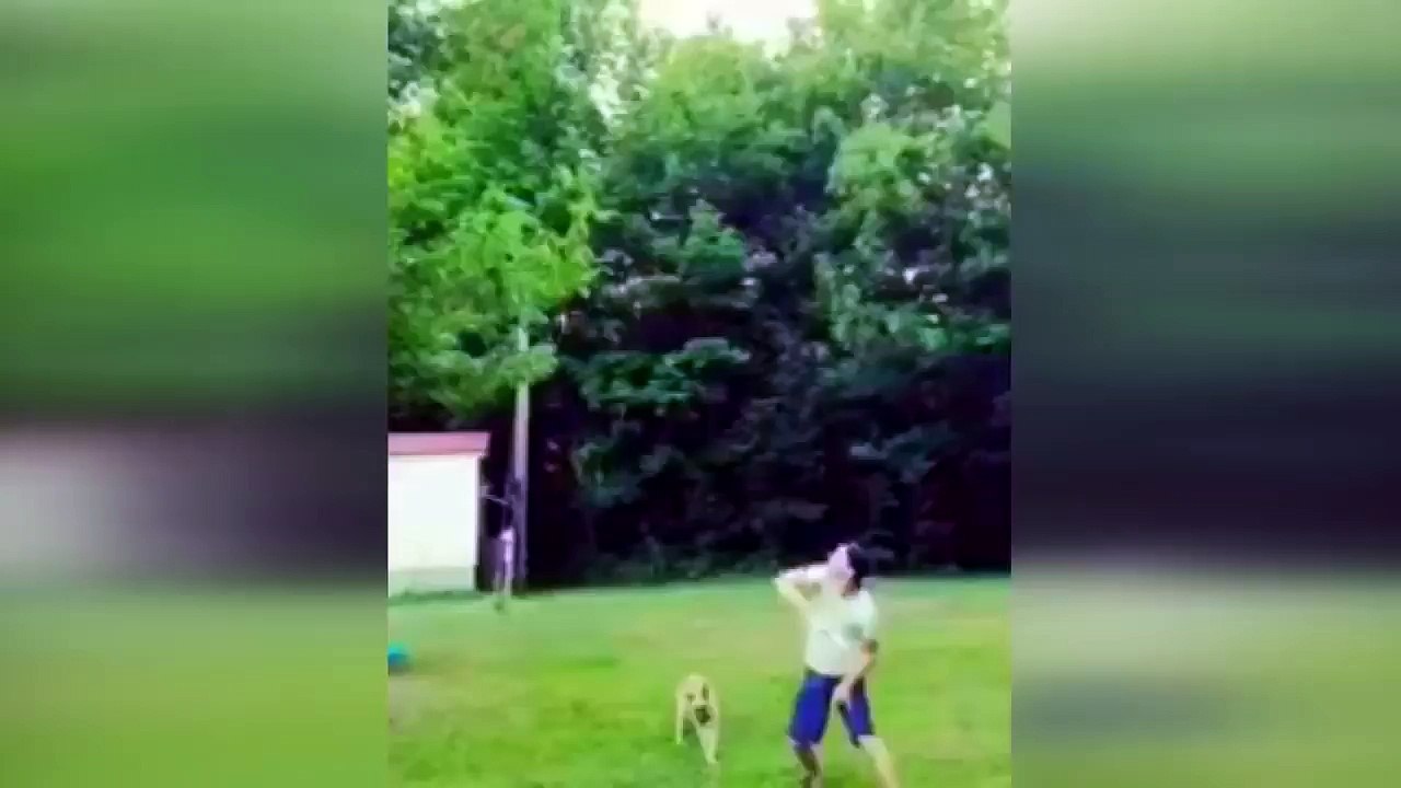 Tree Branch Can’t Hold Man Who Fell Out of Tree After Catching Frisbee ...