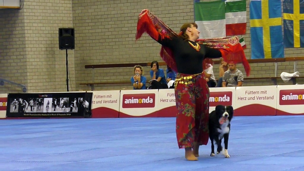 Border collie and owner wow audience with captivating routine at Dog ...