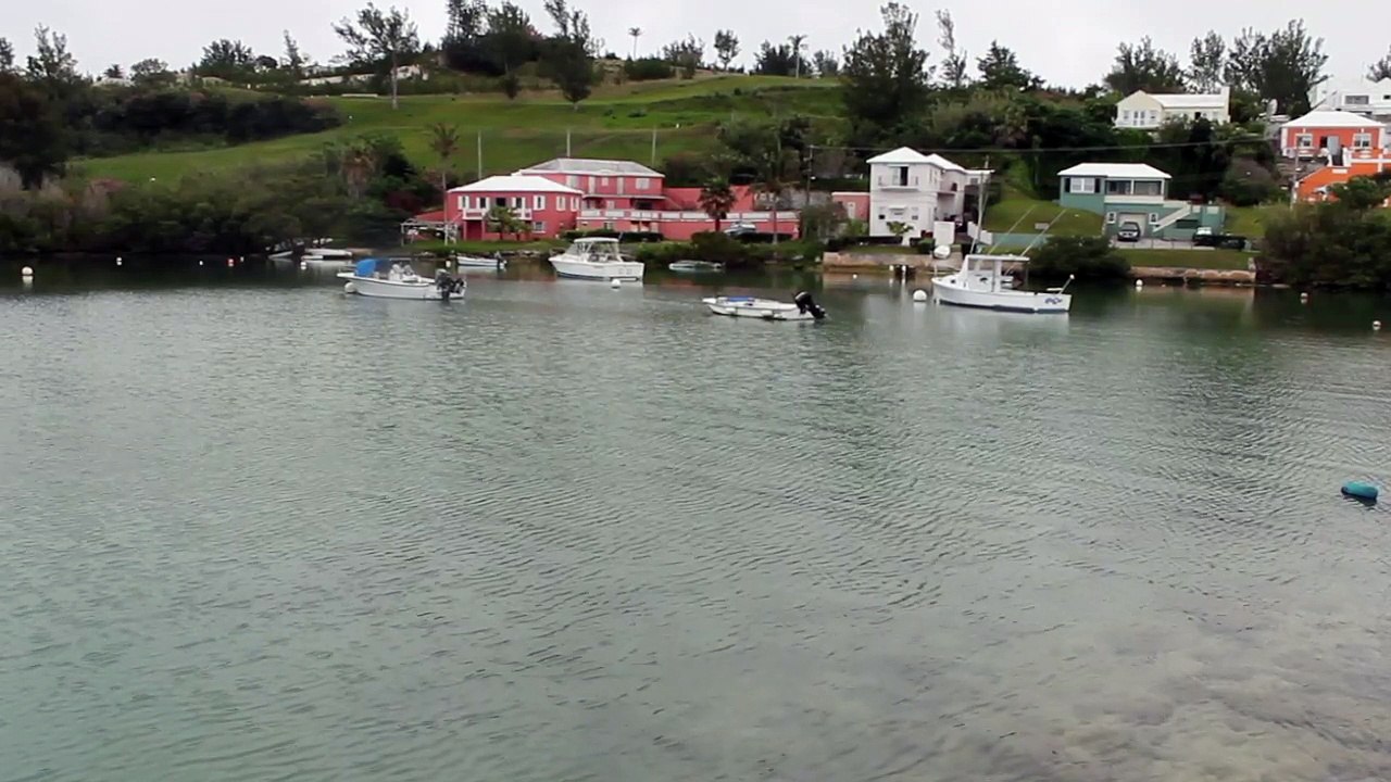 Scientists Demystify Bermuda Fireworms’ Bioluminescence - video Dailymotion